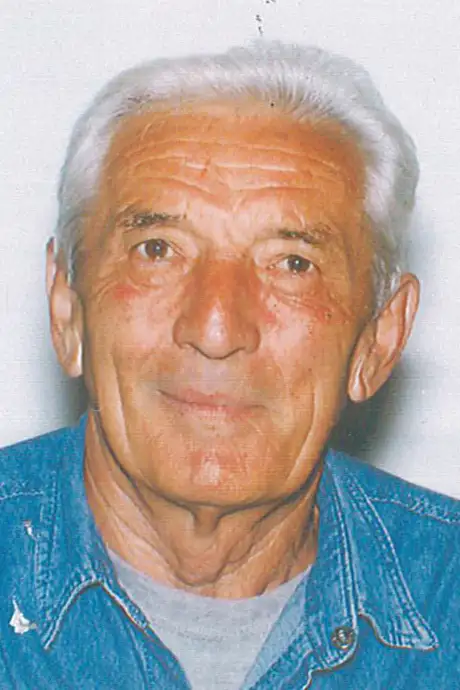 ANGIOLINO GREGIS - Seriate (BG) - Il commiato